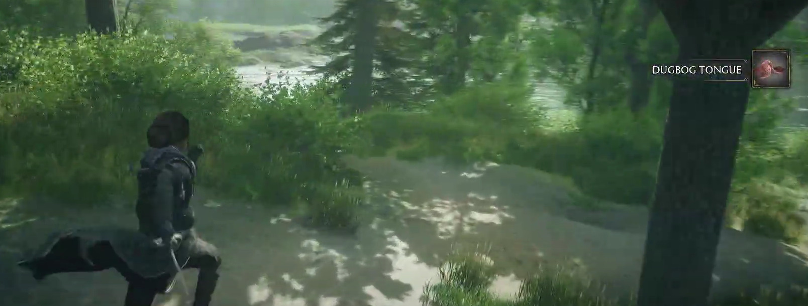 Hogwarts Legacy: Dugbog Tongue Location - GamerHour